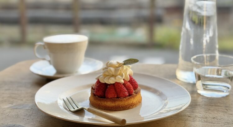 2025年9月20日オープン MISABLE(ミサブル) | 京都速報